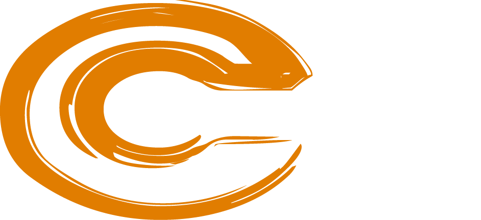 Creative Visions Print and Design